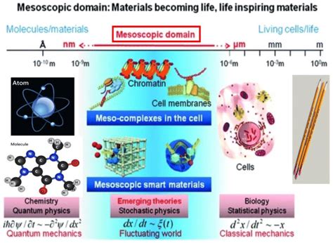 13 Illustration Of The Concept Of Mesoscopic Scale Extracted From