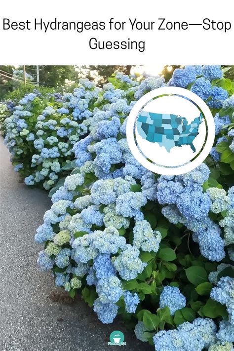 Planting 101 Greenwich Ct