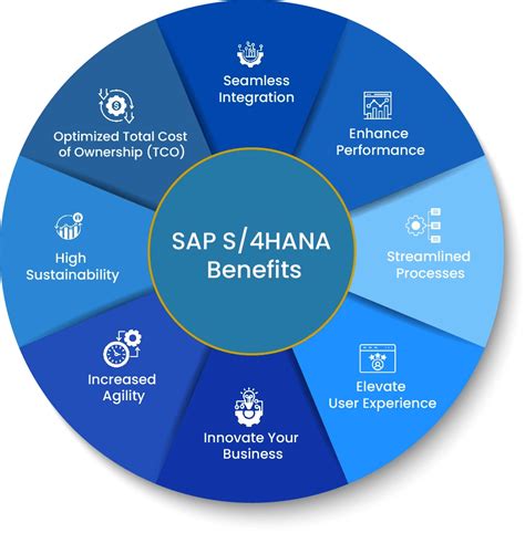 Sap S 4hana Migrations Vipas Technologies