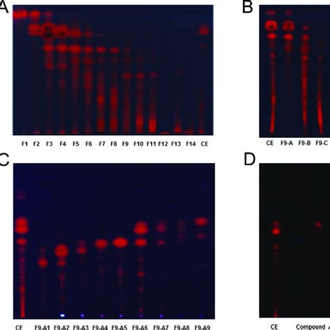 Structure Of Compound A [purpurin 18 Phytyl Ester P18pe ] Download Scientific Diagram