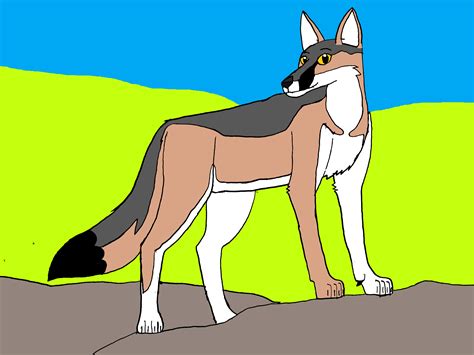Swift Fox By Tigerstar82 On Deviantart