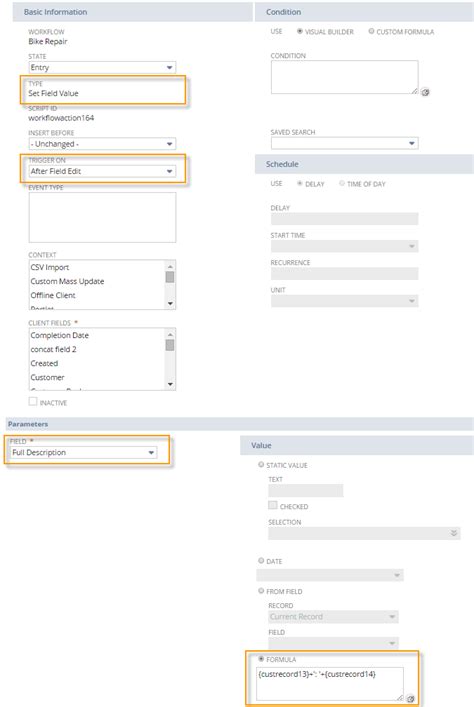 Netsuite Applications Suite Using Conditional Fields With Actions