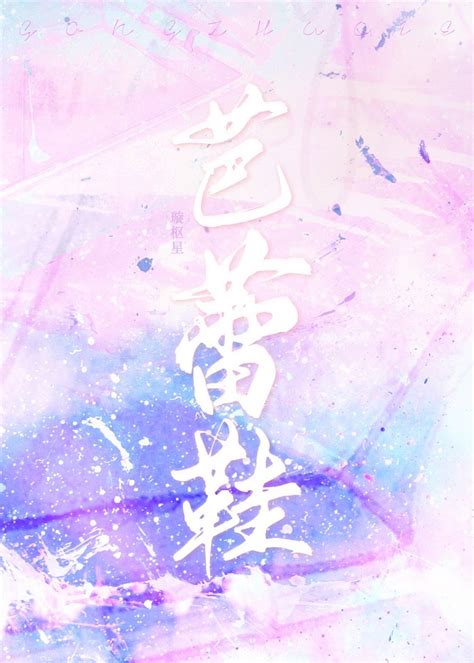 芭蕾鞋璇枢星 晋江文学城 原创小说 言情小说