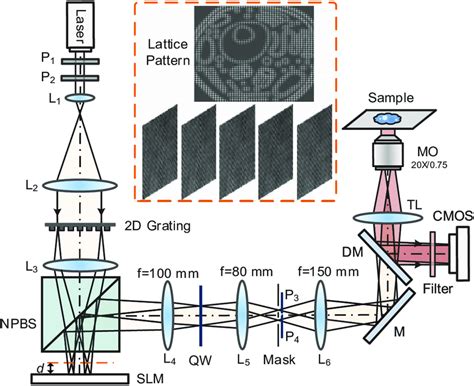 The Schematic Setup Of High Throughput Lattice Sim The Bottom And Top