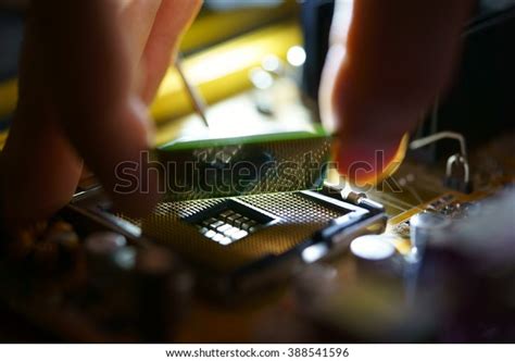 Technician Analysis Plug Cpu Microprocessor Motherboard Stock Photo Shutterstock