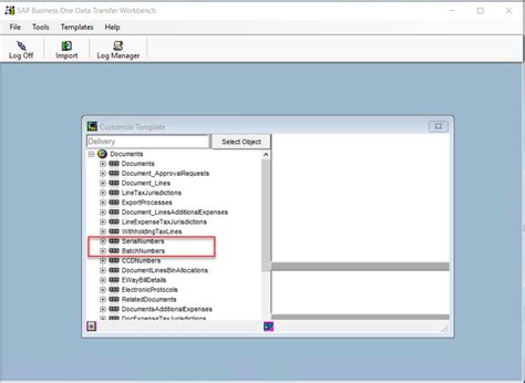 Solved Upload Delivery Note With Batches Via Dtw Sap Busi Sap Community