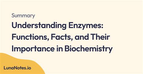 Understanding Enzymes Functions Facts And Their Importance In