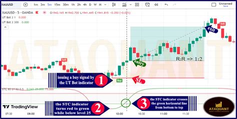 Ut Bot Trading Strategy Ataquant Advanced Expert And Indicator Programming For Algorithmic