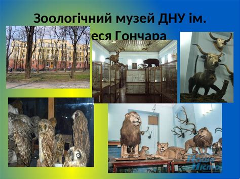 Презентація Екскурс музеями Дніпра