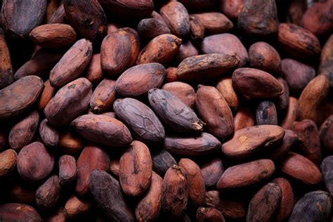 식품 배경 사진 및 배경 화면 모두 무료로 다운로드 할 수 있습니다