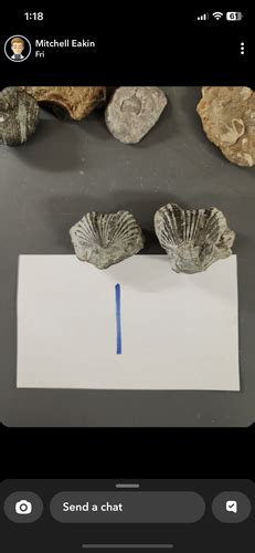 Lab Exam Flashcards Quizlet