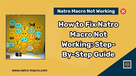 How To Fix Natro Macro Not Working Step By Step Guide