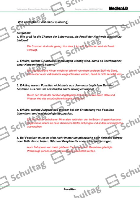 Wie Entstehen Fossilien Schultag