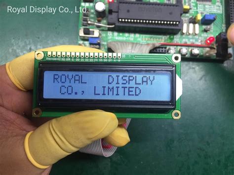 X FSTN Stn COB LCD Display Module China LCD Screen Module LCD And Character Module LCD Price