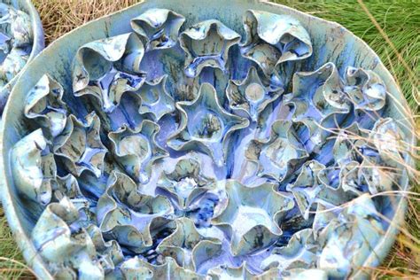 Fauna or Flora? - Small - Ceramic Forms