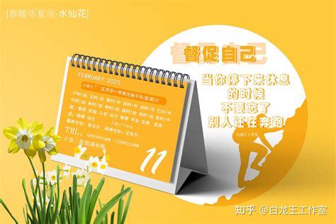 五行穿衣 2023年2月11开日「属水」12生肖运势 知乎