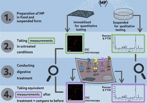 Schematic Visualisation Of The Method Validation Concept In A Download Scientific Diagram