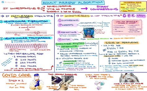 Acls Algorithms