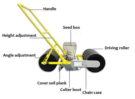 celery replacement parts and diagram guide