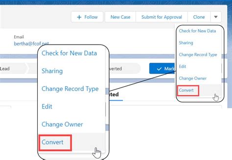 Convert Button On Lead Not Visible In Salesforce Lightning