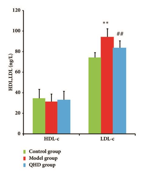 Hepatic Levels Of TG A And Serum Levels Of TG B HDL And LDL C Download Scientific