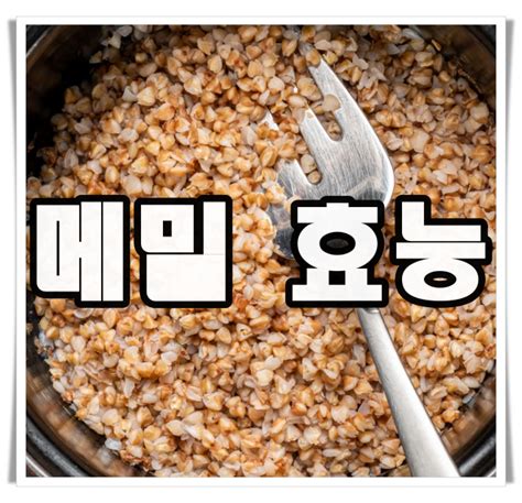 메밀 효능 영양성분 부작용 정리