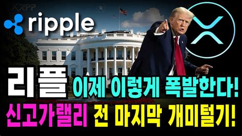 리플 코인 전망 신고가랠리 전 마지막 개미털기⭐이제 이렇게 폭발한다 트럼프의 수혜 이어진다 리플 리플전망 리플코인 Youtube