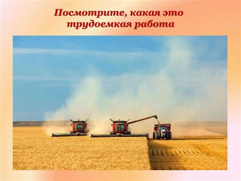 Путь хлеба от зерна до стола Online Presentation