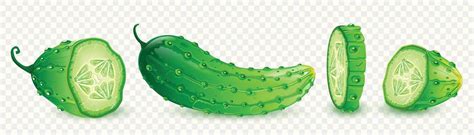 Cucumber Vector Art Icons And Graphics For Free Download