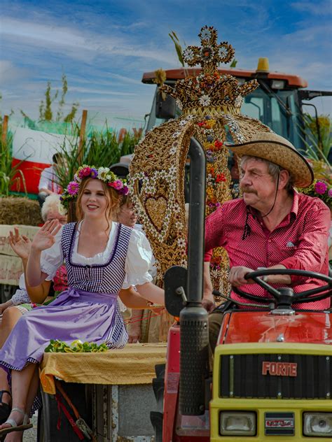 추수 축제 작물 수확하다 Pixabay의 무료 사진