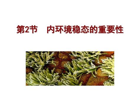 2013 第1章 第2节 内环境稳态的重要性 word文档在线阅读与下载 无忧文档