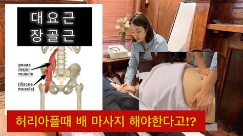 캐나다 마사지 테라피스트가 알려주는 허리아플때 배 마사지 하는법 장요근 마사지 대요근 장골근 근육 아나토미 허리통증