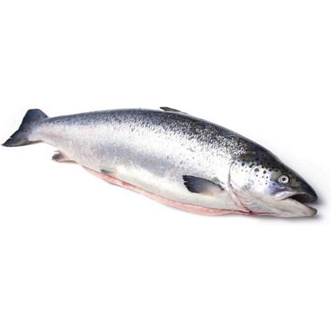 Охлажденная рыба по предзаказу