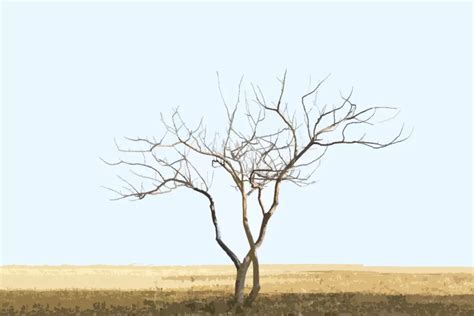 Parable Of The Barren Fig Tree Verse Meaning And Lesson