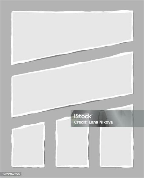 찢어진 흰색 노트 세트 회색 배경에 고립 된 다양한 모양의 찢어진 종이 조각 벡터 그림입니다 0명에 대한 스톡 벡터 아트 및 기타 이미지 Istock