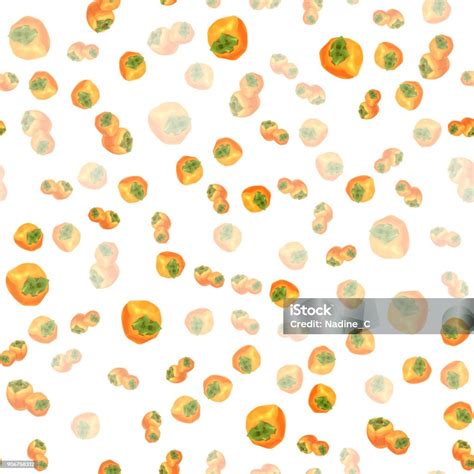 화려한 고립 된 아이콘 열 대 이국적인 오렌지 과일의 손으로 그린된 스케치 메뉴 다이어트 Infographics 스티커 전단지 템플릿 감 벡터 완벽 한 패턴 인쇄 가을에