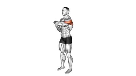 10 Effective Exercises For Multifidus Muscles You Need To Try Workout Guru