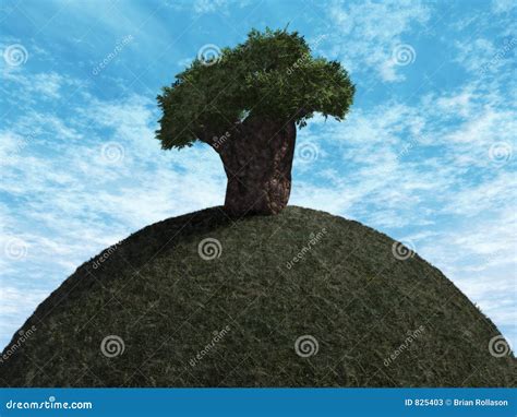 Tree On The Hill Aboriginal Tree Aboriginal Art Vector Painting With