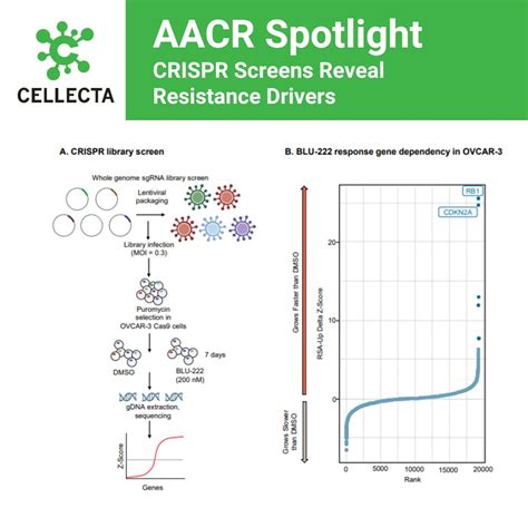 Crisprscreens Precisiononcology Aacr2024 Functionalgenomics