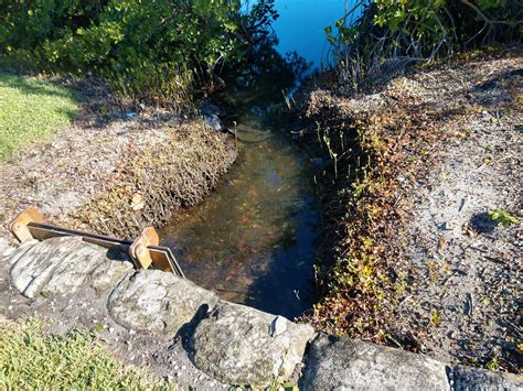 Headwall And Flapper Gate Replacement Gpi