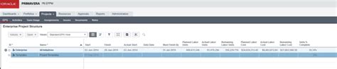 Adding Columns To The Eps In Primavera P6 Eppm Ten Six Consulting