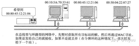 （计算机网络基础）《图解tcpip》笔记chapter3数据链路 知乎