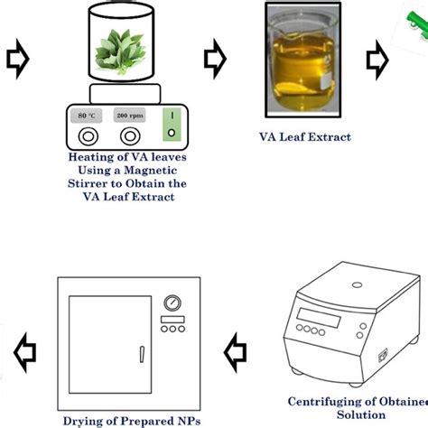 the schematic diagram for preparing mnps using va extract as support