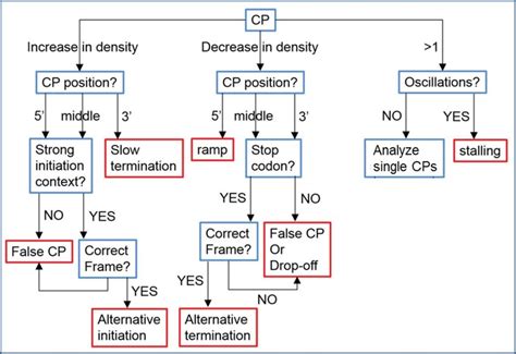 Codex Ccp Decision Tree