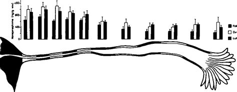 Figure 1 From Regional And Cyclic Variations In Catecholamine