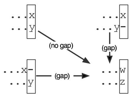 Slides Phylogenetics Back To Basics Multiple Sequence Alignment
