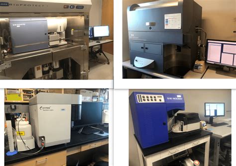Flow Cytometry Core Facility Uams Department Of Microbiology And