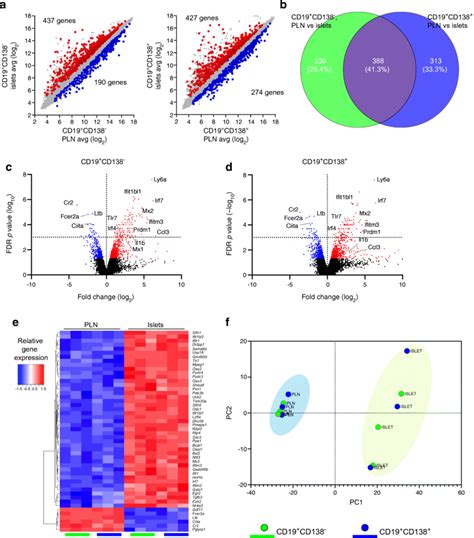 B Cell Populations Are Significantly Modified By The Inflamed