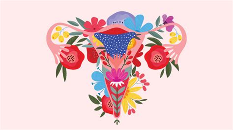 Sex Cycles And Huge Influence On Our Sex Lives