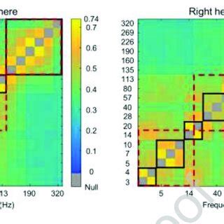 Modules In Connectomes Of Phase Synchronization Cluster Into Canonical Download Scientific